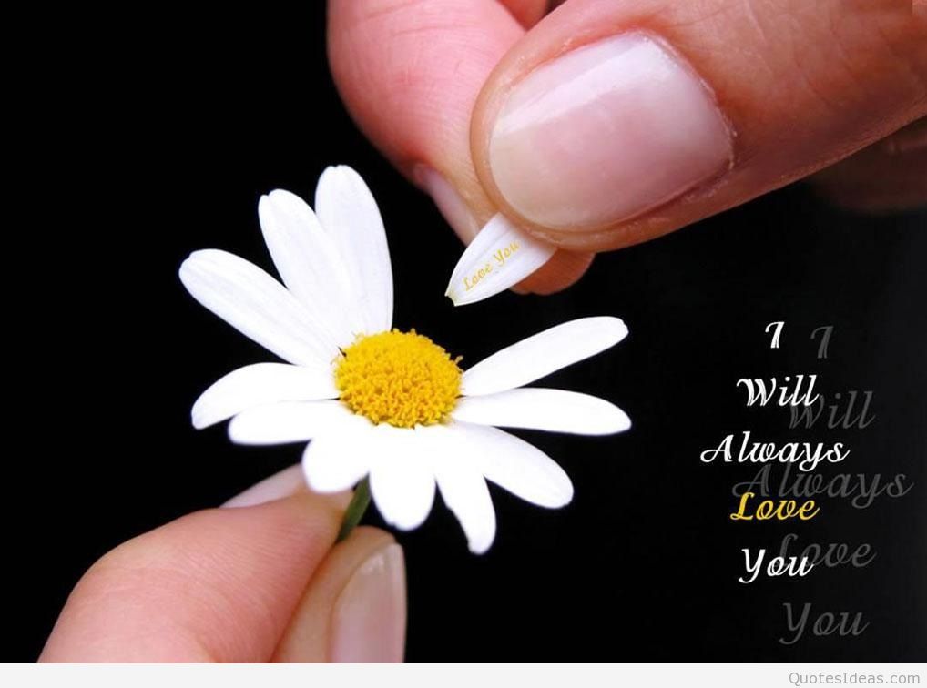 Flowers Wallpapers With Quotes (#600964) - HD Wallpaper & Backgrounds ...