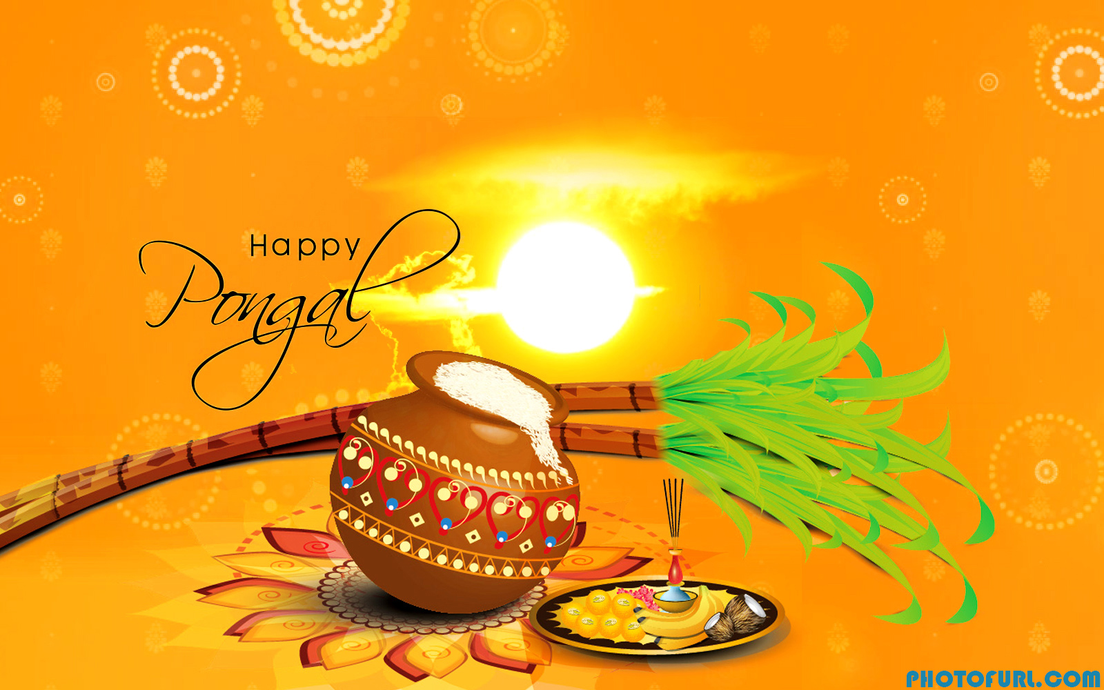 Pongal Images Hd Wallpaper - Pongal Celebrations (#643048) - HD ...