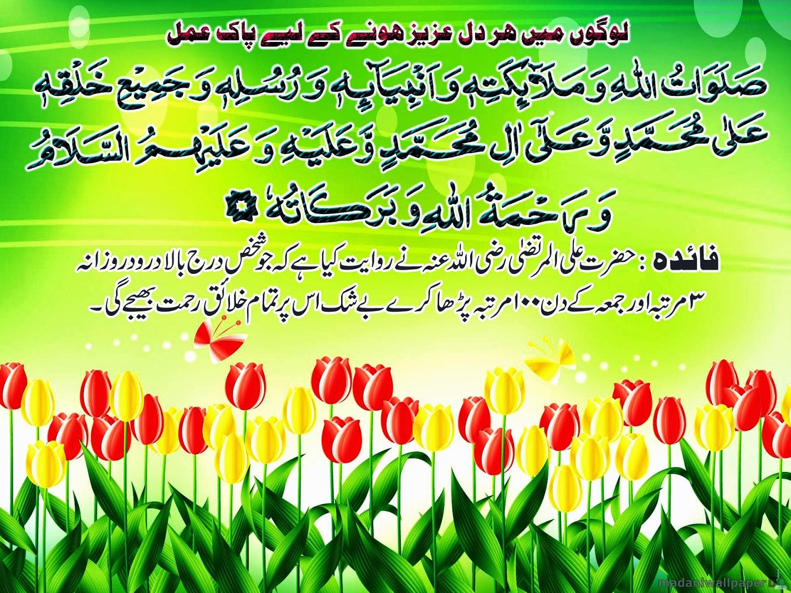 Zafar Name Wallpaper - Flower Vector Wallpaper Hd (#649471) - HD ...