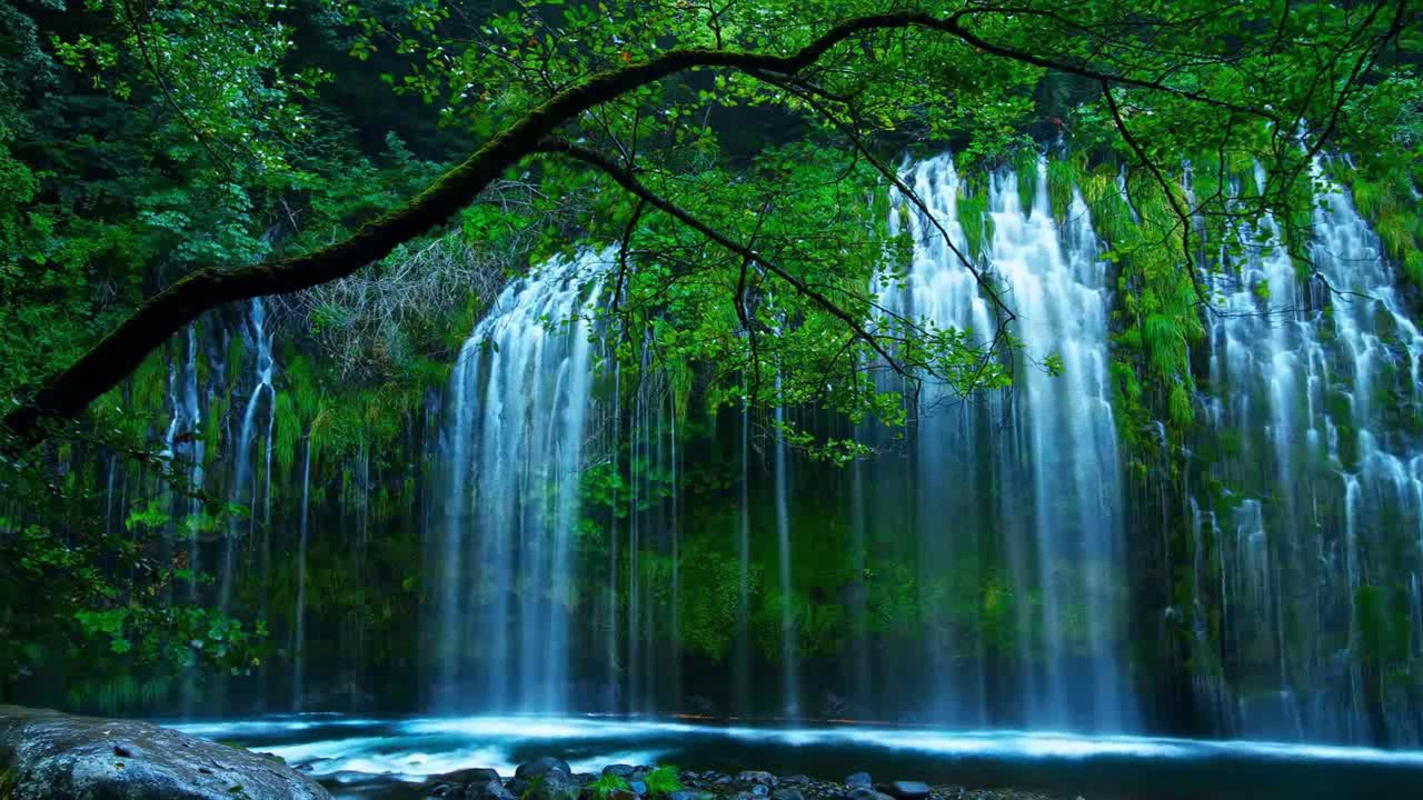 Beautiful Animated Wallpaper Hd - Beautiful Animation Wallpaper Hd ...