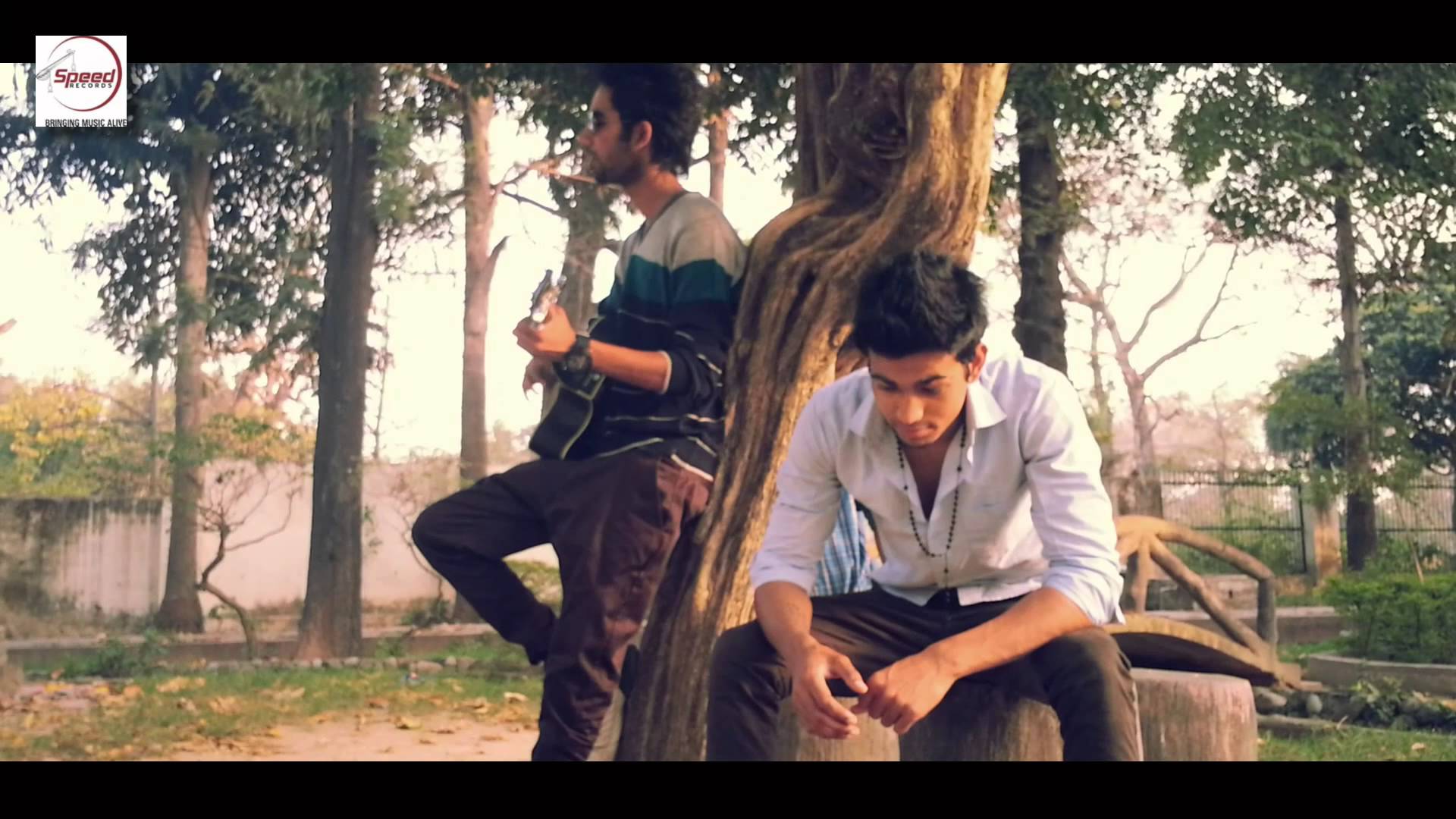 Judai Wallpaper - Tree (#708280) - HD Wallpaper & Backgrounds Download