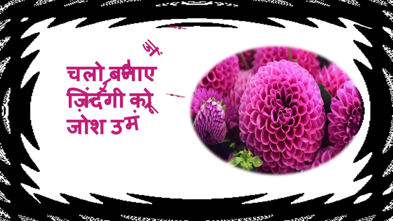 Gusse Wale Wallpaper - Bingkai Green Screen (#717164) - HD Wallpaper ...