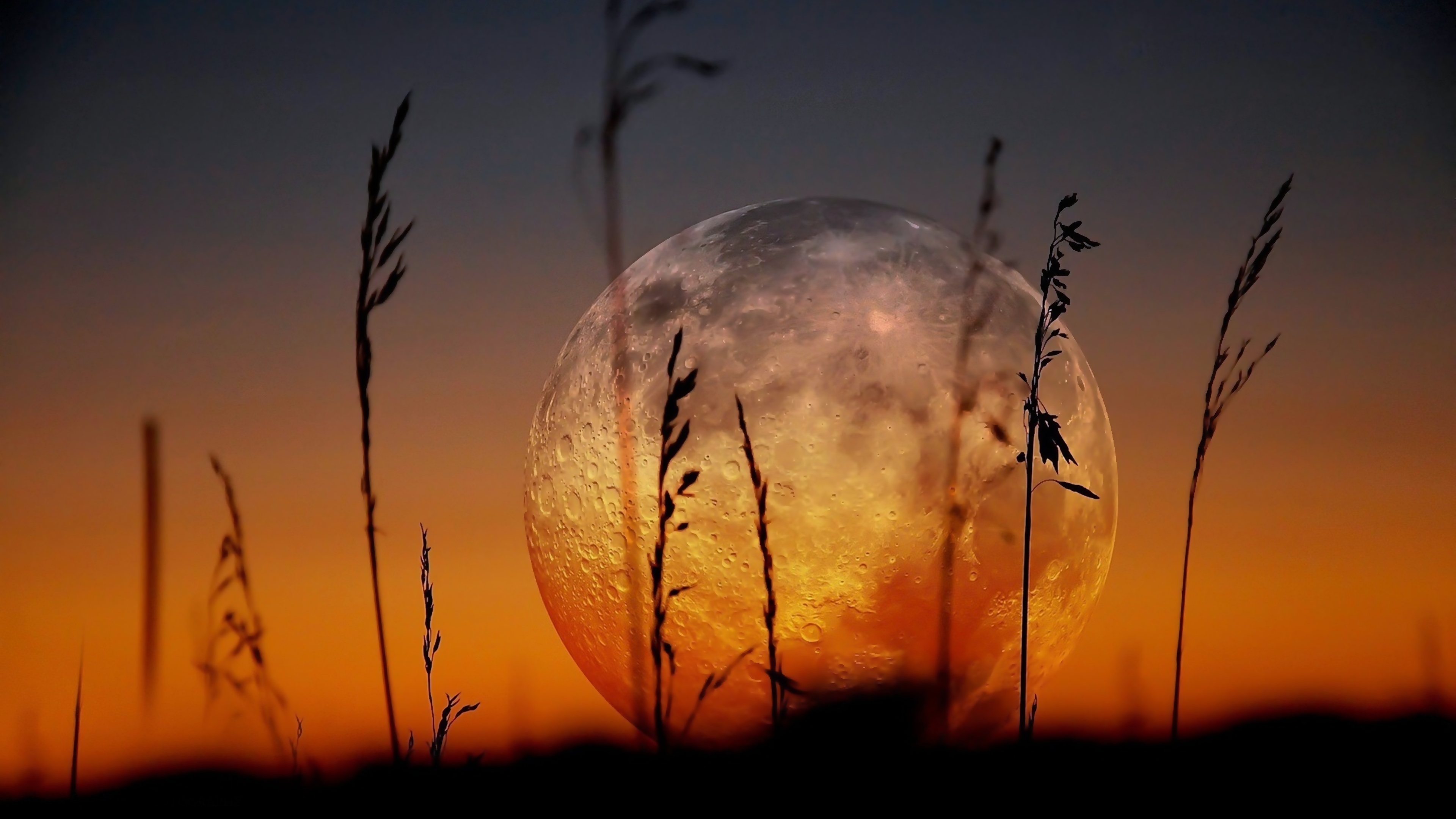 Hd Wallpaper - Super Moon Facebook Cover (#719429) - HD Wallpaper ...