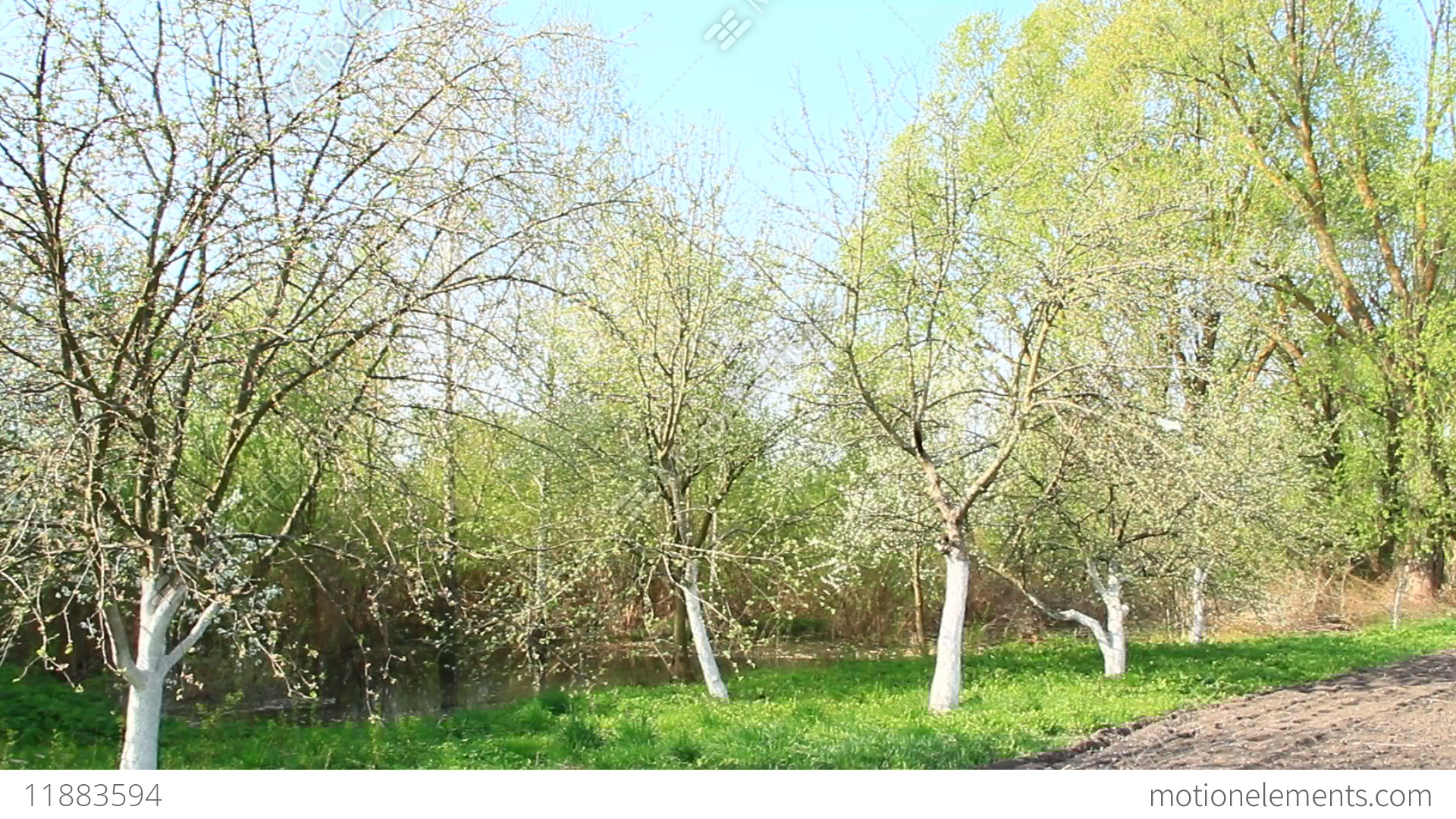 Footage (#783510) - HD Wallpaper & Backgrounds Download