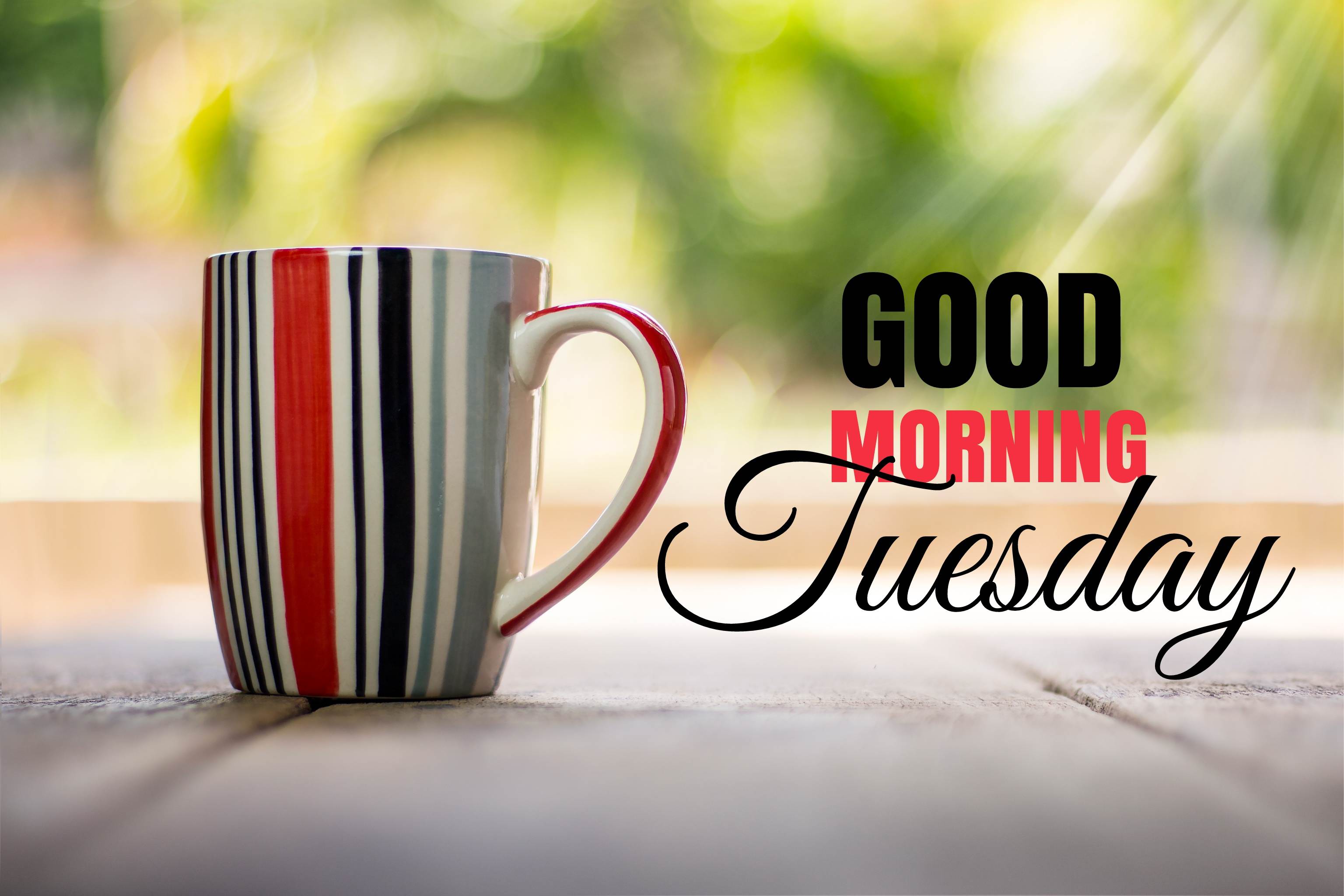 Good Morning Tuesday 4k Ha Wallpaper - Good Morning Tuesday (#814512 ...