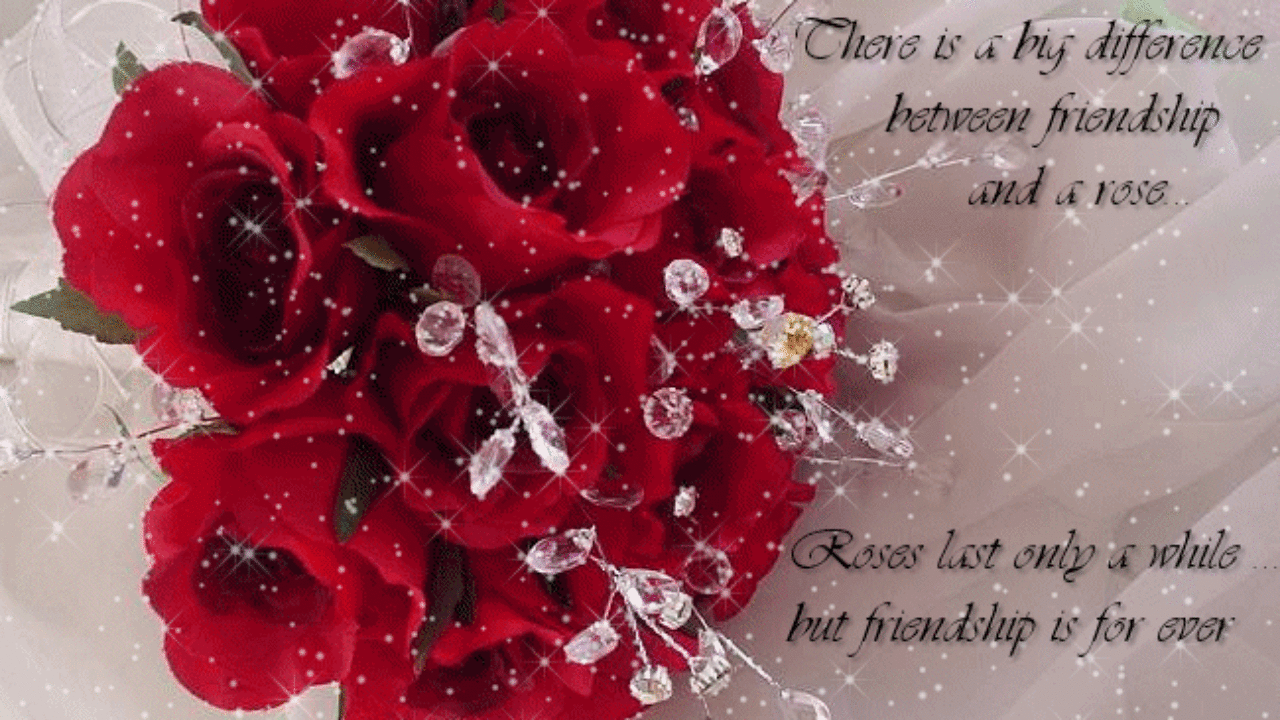 Roses With Friendship Quotes (#816475) - HD Wallpaper & Backgrounds ...