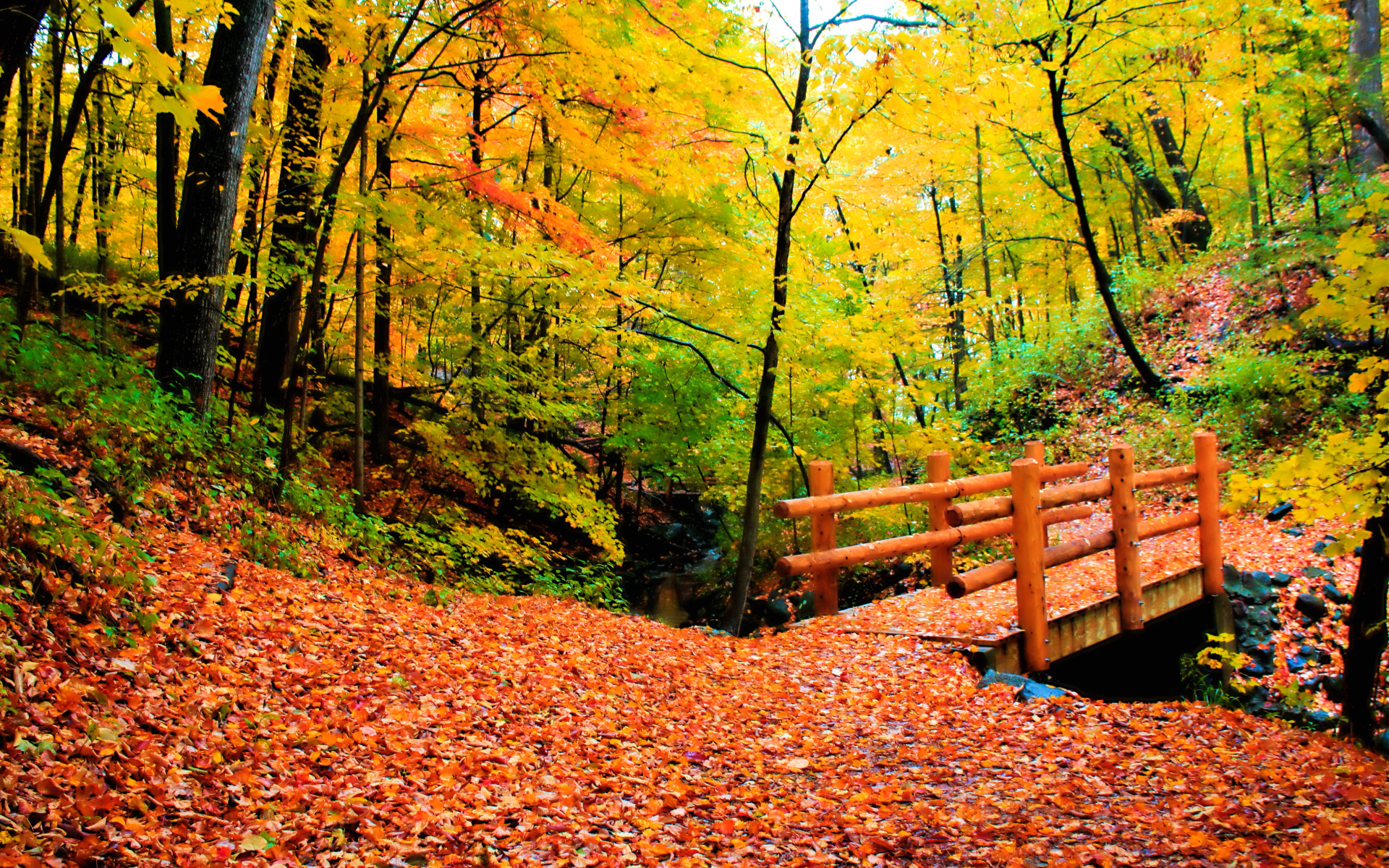 X 1200 (#840505) - HD Wallpaper & Backgrounds Download