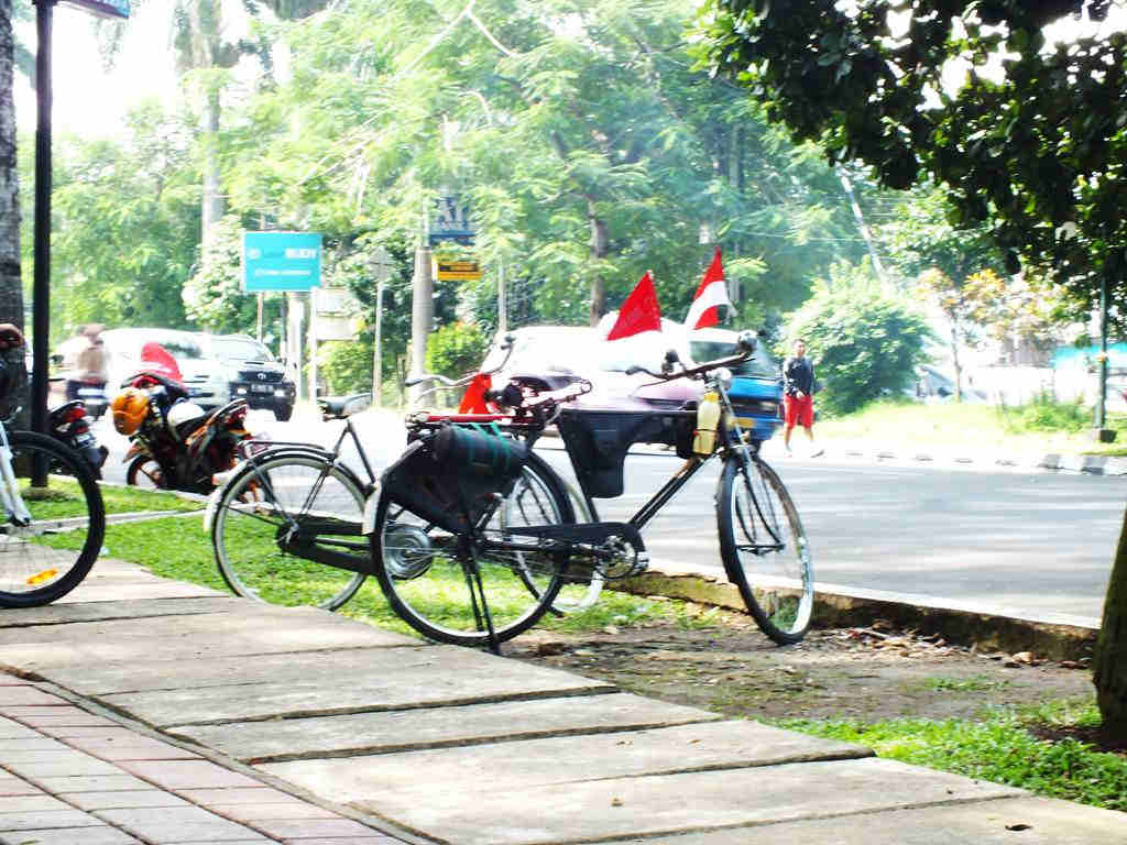 Sepeda Onthel Di Bogor - Tree (#848929) - HD Wallpaper & Backgrounds ...