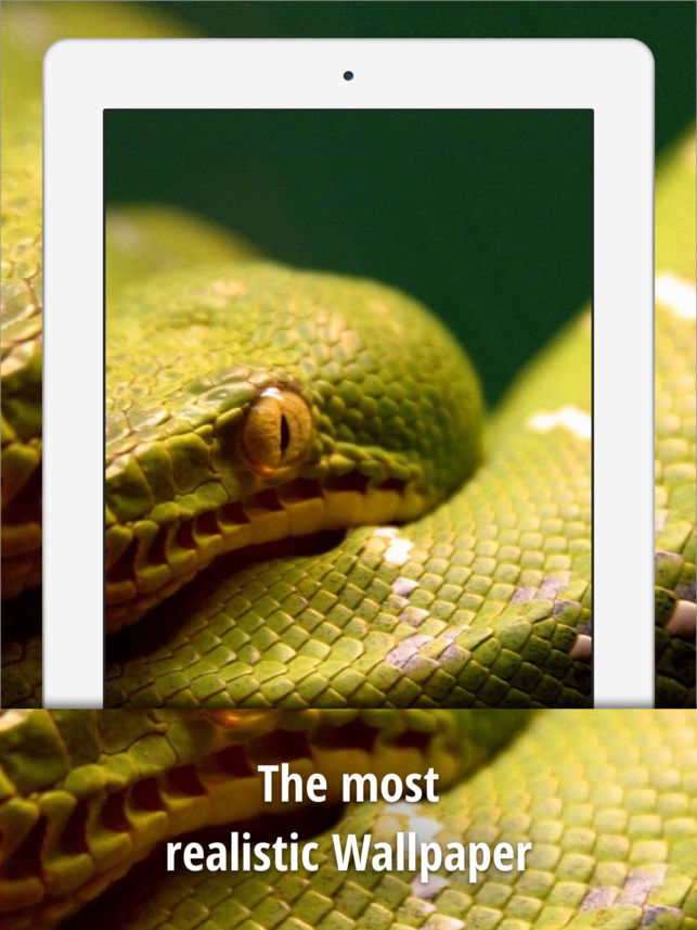 Live Wallpaper - Snake Ki Photo Download (#880669) - HD Wallpaper ...