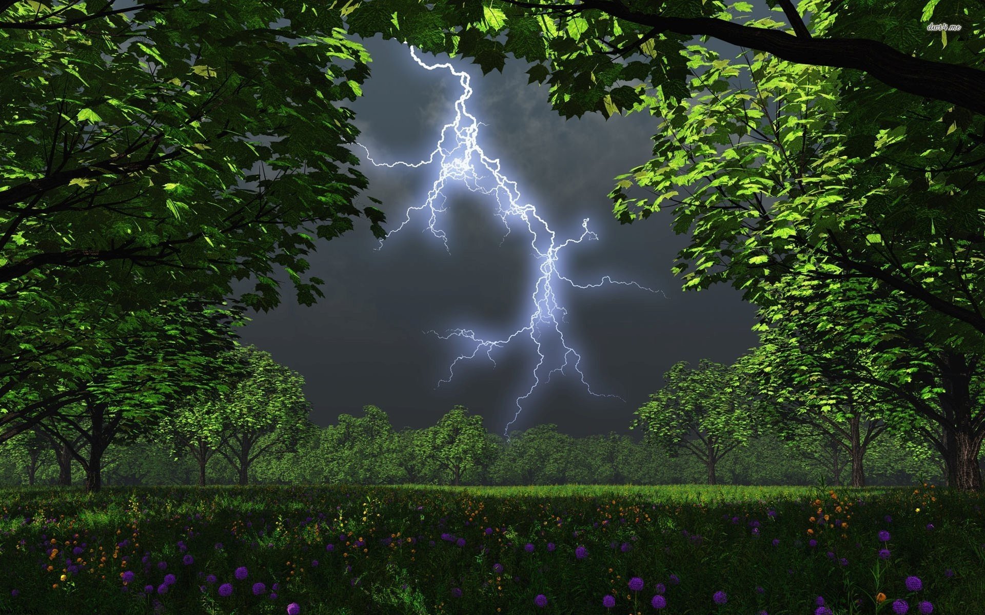 Hd Wallpapers Free Forest Lightning Night Shadow Tree - Lightning Storm ...