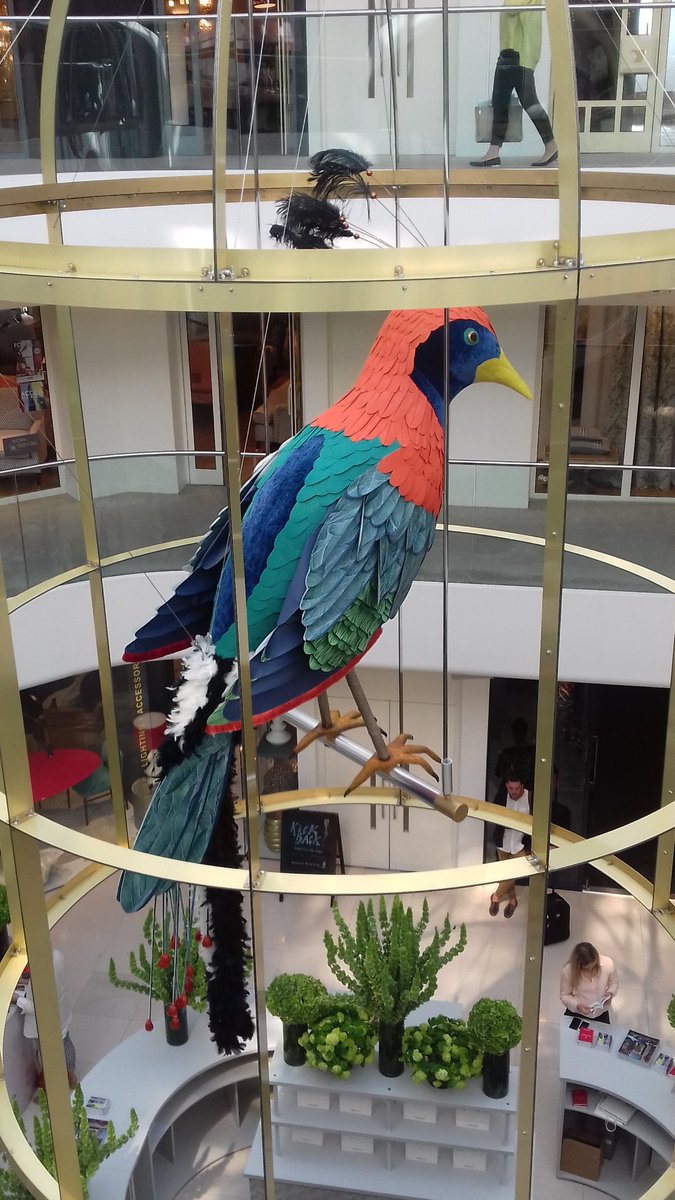 A Really Funky Place For Traditional & 21st Century - Macaw (#921848 ...