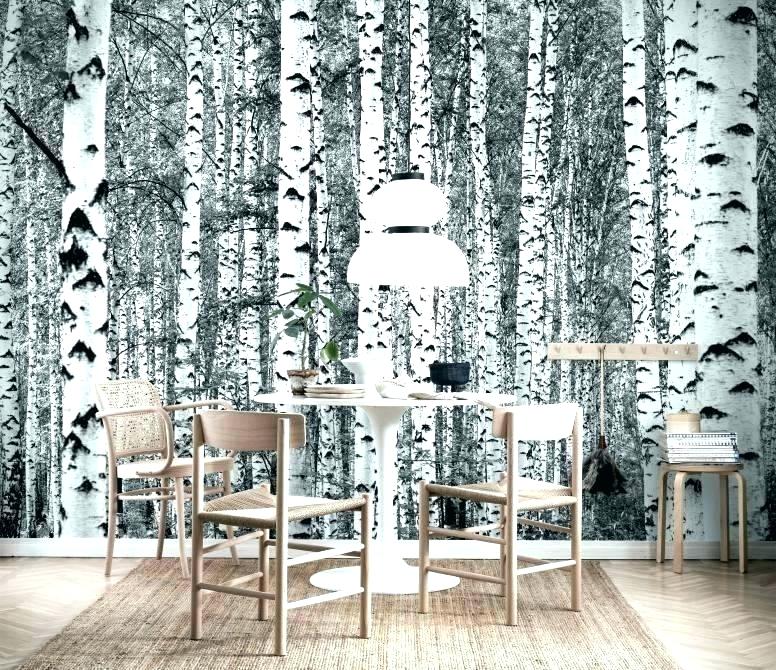 Download Birch Tree Wall Mural Wallpaper Wood Aspen Trees Black - Aspen ...