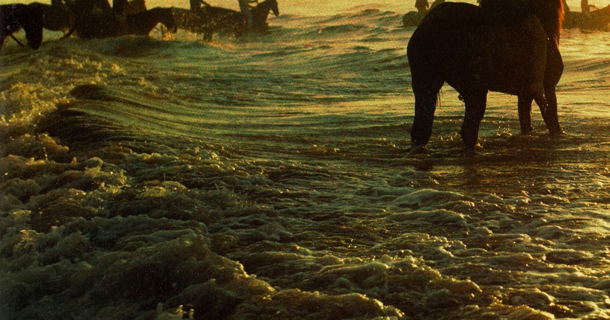 Foals Album Holy Fire (#943112) - HD Wallpaper & Backgrounds Download