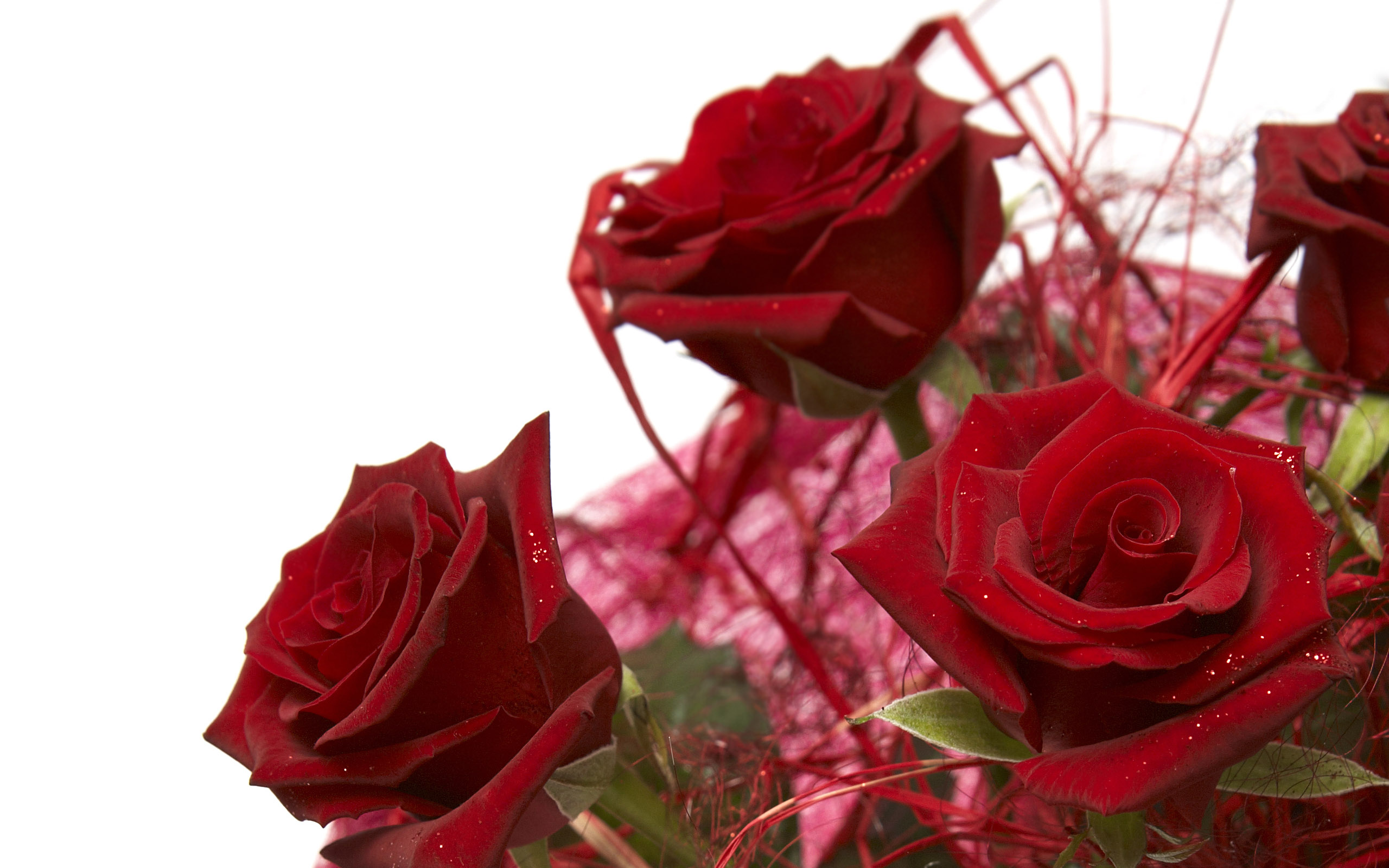 Pink Roses Wallpaper Picture Red Roses Wallpaper - Flowers Best Photos ...