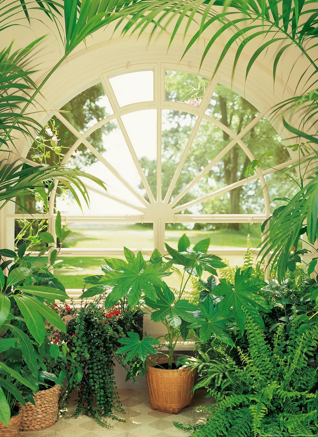 Wall Mural, Photo Wallpaper Conservatory 6'x8'4 Palms - Wintergarden ...