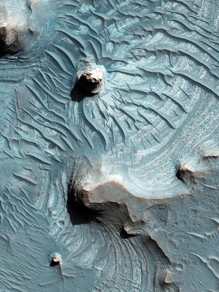 West Of Juventae Chasma Wallpaper Tags - Wood (#957313) - HD Wallpaper ...