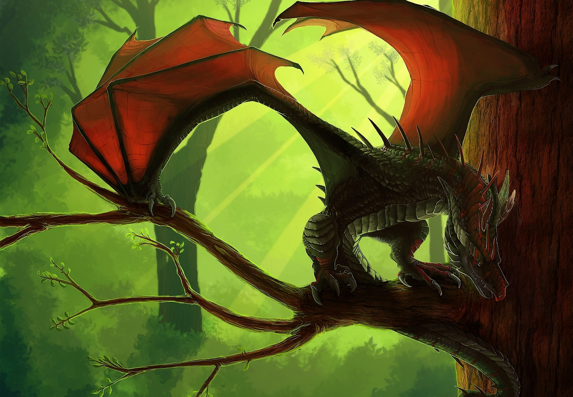 Dragon Hd Wallpaper - Wyvern (#964326) - HD Wallpaper & Backgrounds ...