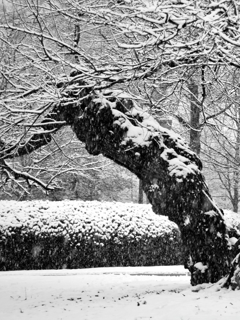 Ipad 1/2/mini - Snow (#969404) - HD Wallpaper & Backgrounds Download