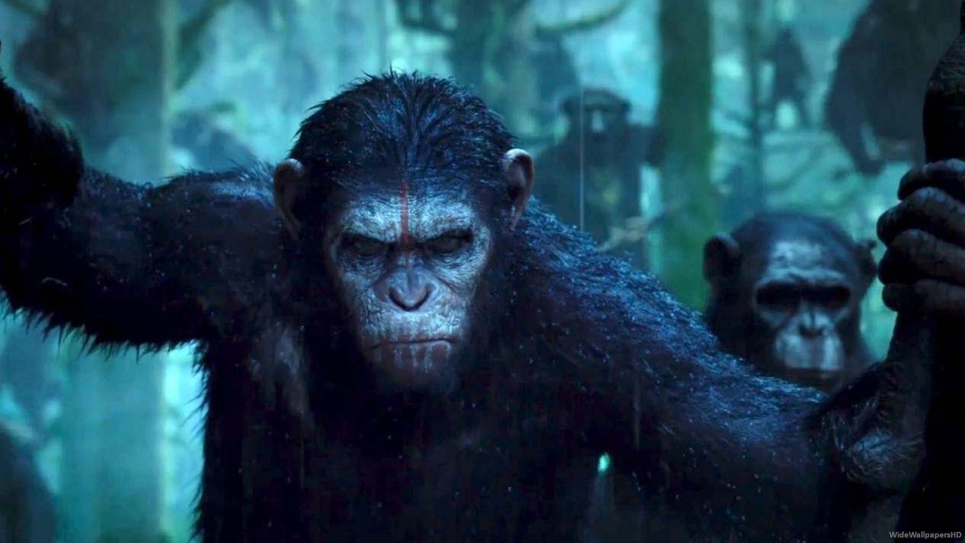 Dawn Of The Planet Of The Apes Wallpaper Hd - Planet Of The Apes Caesar ...